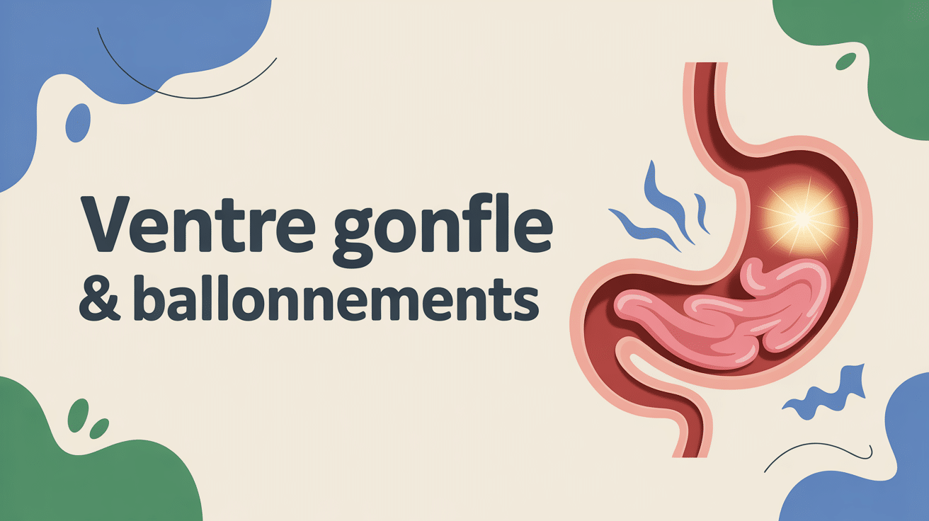 Ventre gonflé, gaz et prise de poids : comprendre et agir du